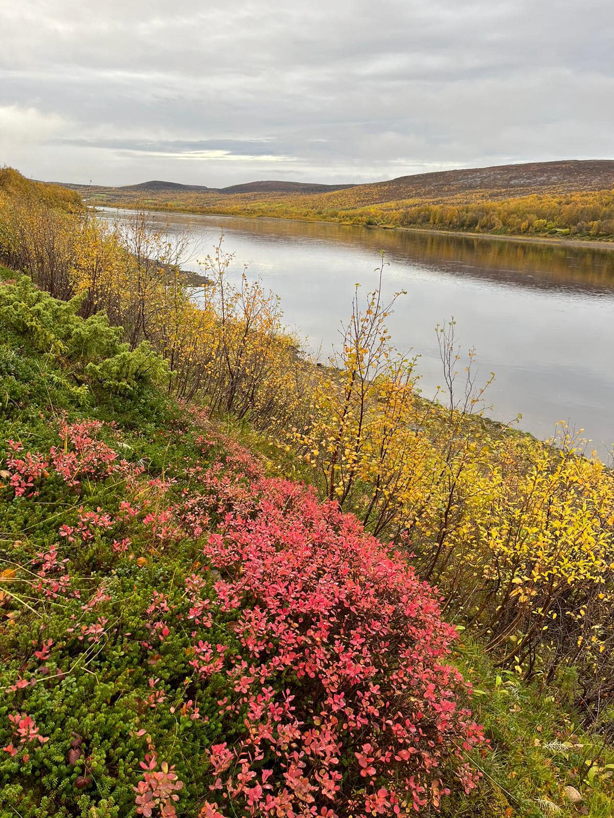 Ministeri Essayah Lapissa erityisavustaja Falkin kanssa - ”Pohjoisessa ...